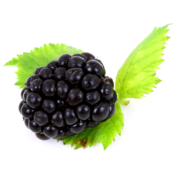 BLACKBERRIES – Frootz On Parade