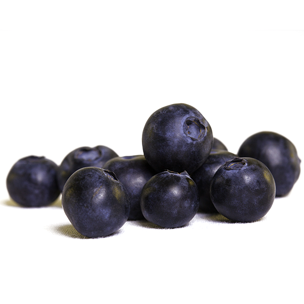 BLUEBERRIES – Frootz On Parade