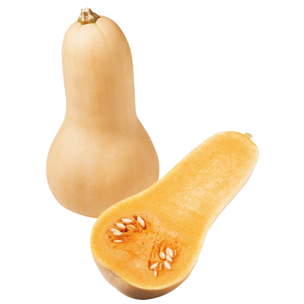 BUTTERNUT PUMPKIN – Frootz On Parade