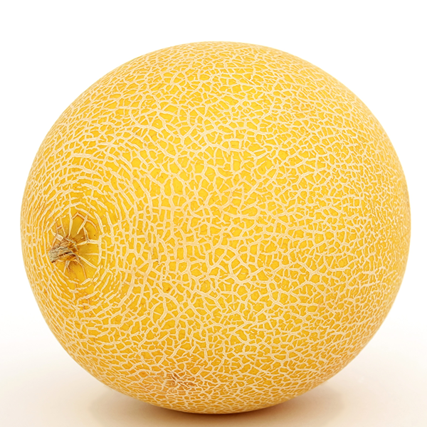 CANTALOUPE WHOLE – Frootz On Parade