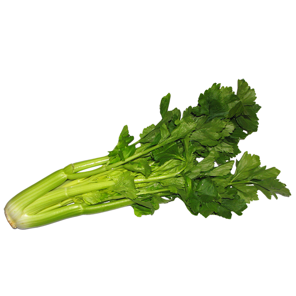 CELERY WHOLE – Frootz On Parade