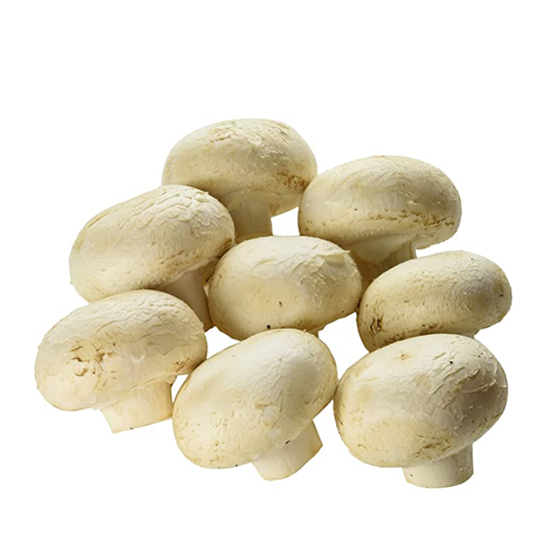 CUP MUSHROOMS – Frootz On Parade