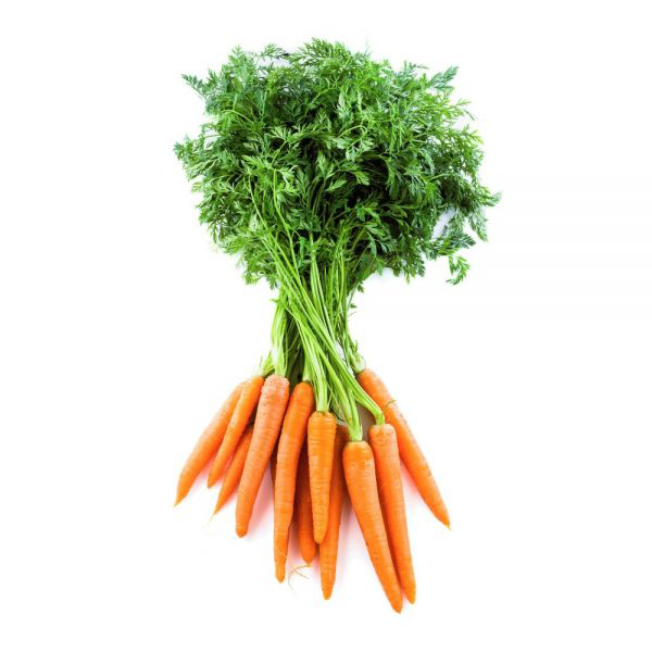 DUTCH CARROT BUNCH – Frootz On Parade